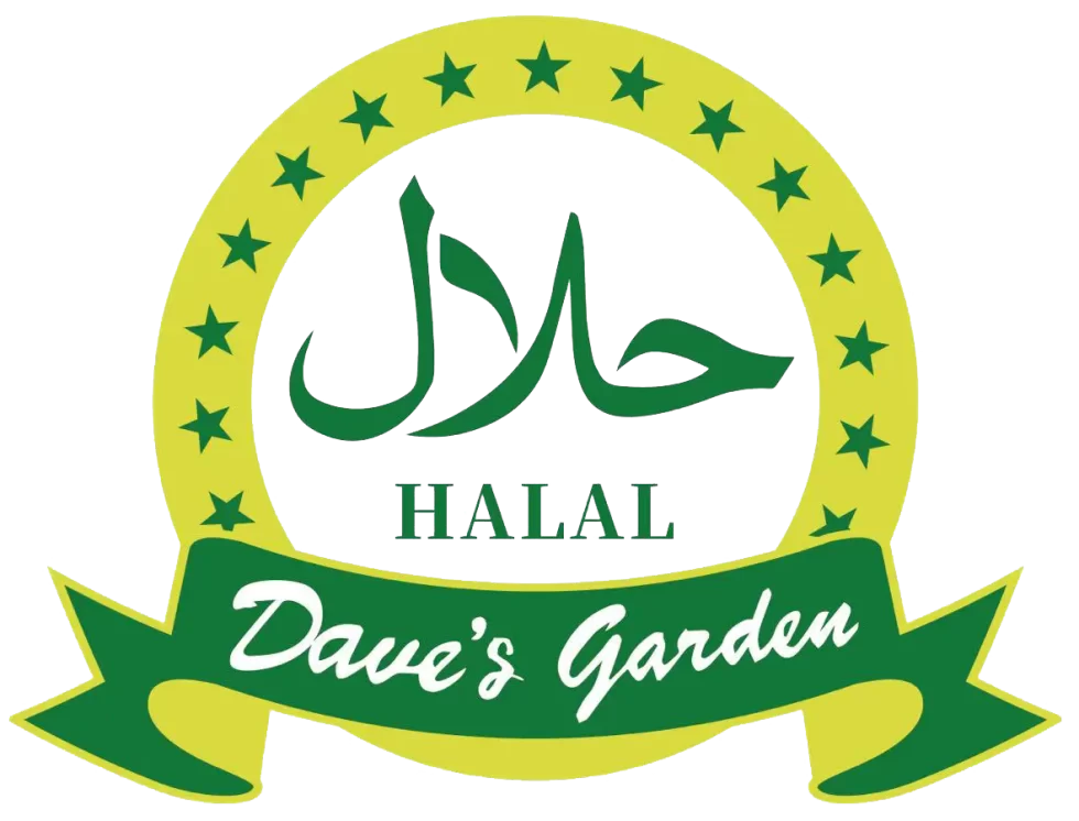 Dave's Garden - Chinese Restaurant | Online Order | Brooklyn | NY